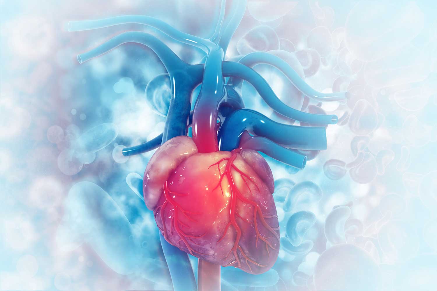 The Plasma Proteome as a Cardiovascular Disease Risk Assessment Tool in ...